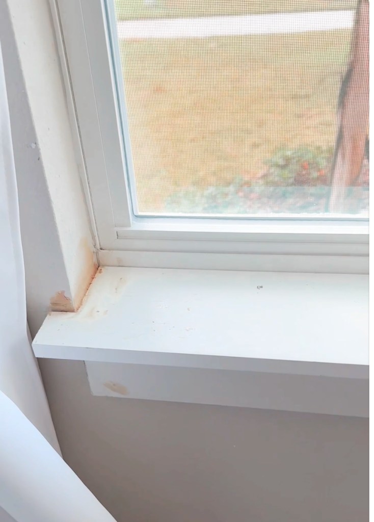 Window Trim: DIY Window Sill Trim Molding – Easy How To